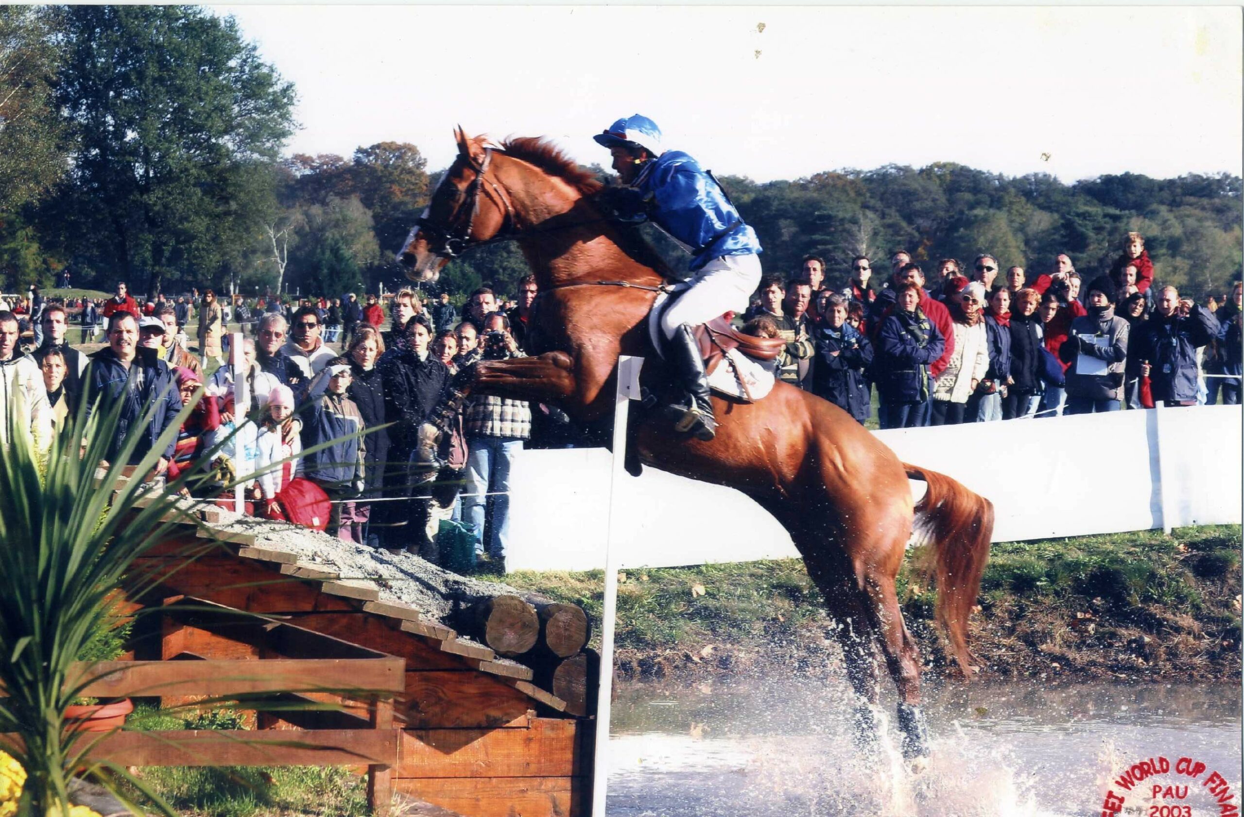 EERSTELING DU LEOU - Genetiqu'Anglo